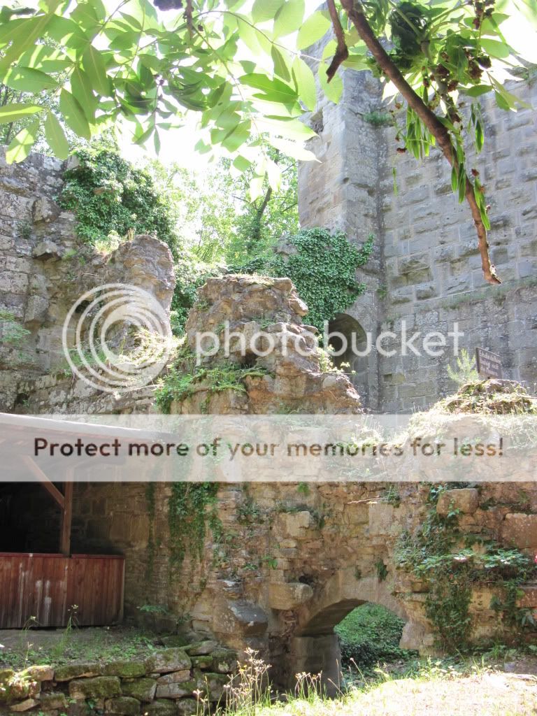 Ruine Blankenhorn: dark_rose189 — LiveJournal