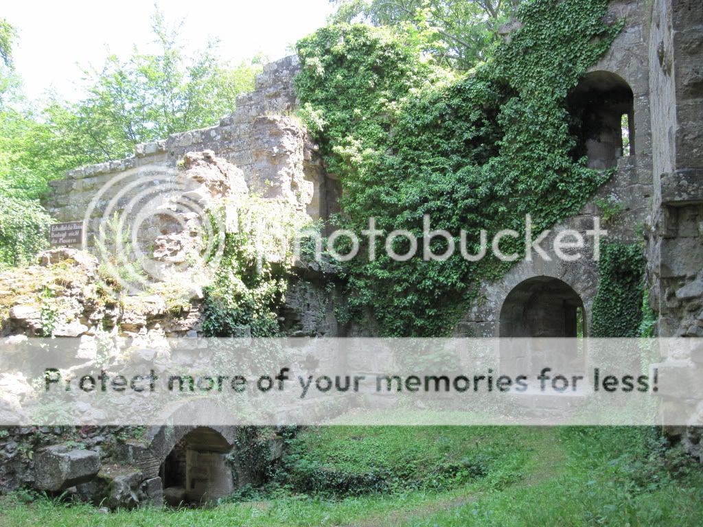 Ruine Blankenhorn: dark_rose189 — LiveJournal