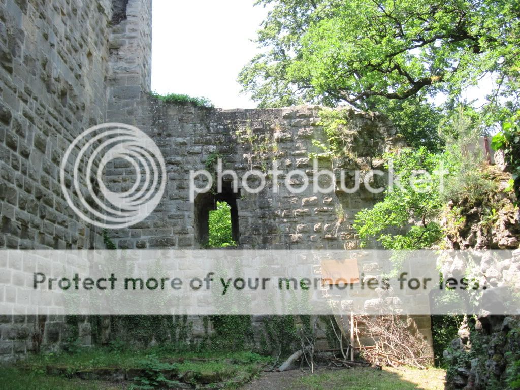 Ruine Blankenhorn: dark_rose189 — LiveJournal