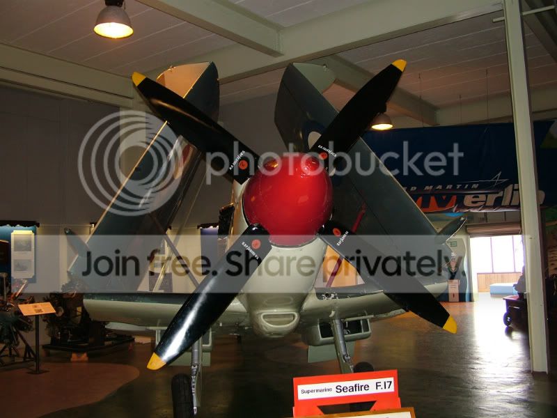 A clipped wing Seafire XVII? - Aircraft WWII - Britmodeller.com
